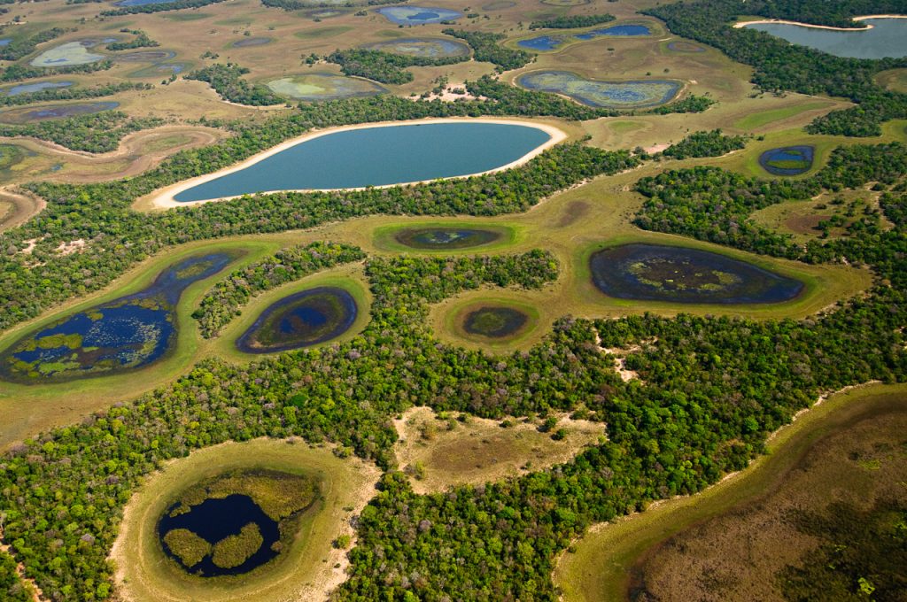 Imagens sobre o Pantanal - SOS Pantanal