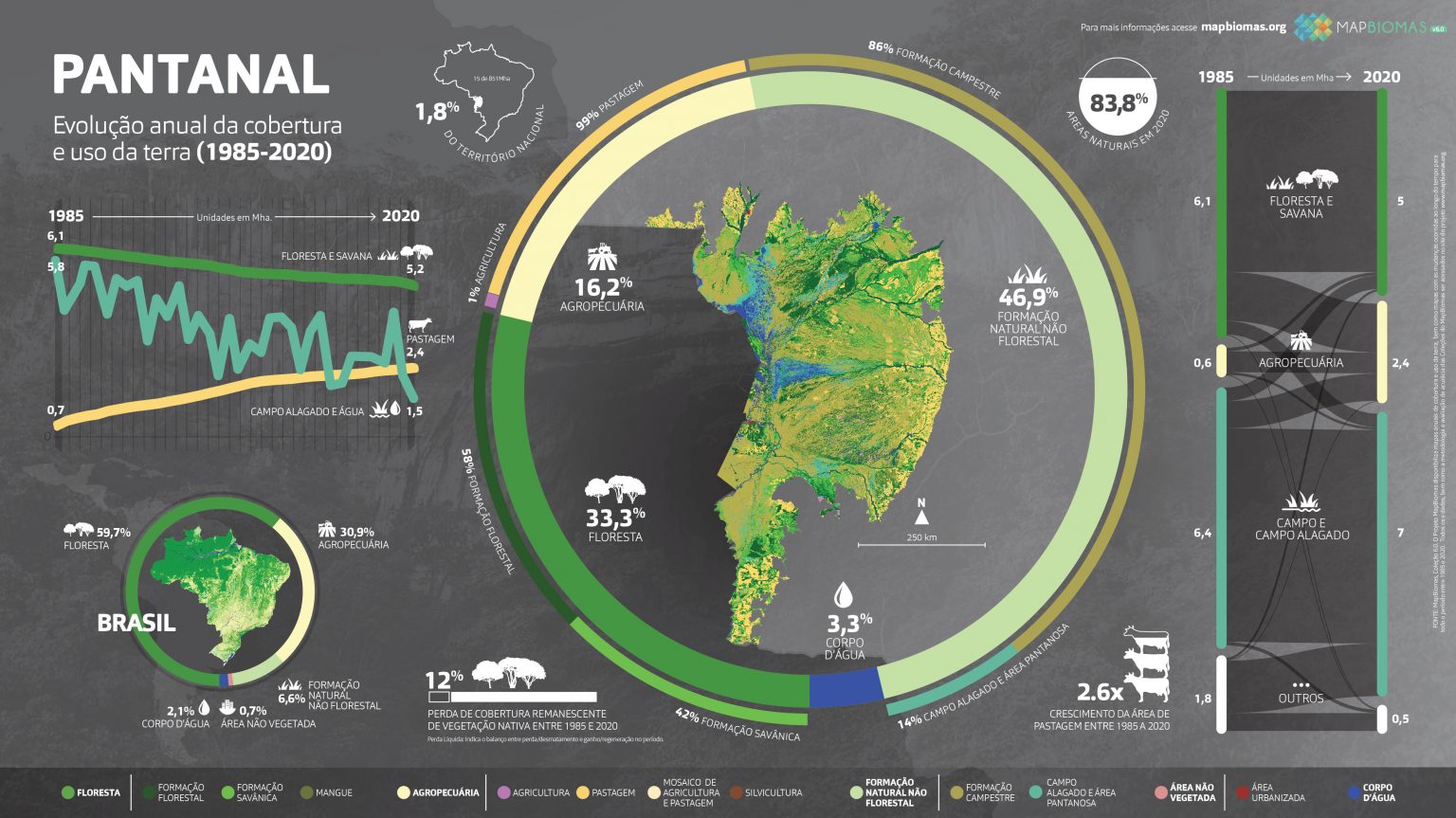 Cobertura do solo e uso de terra no Pantanal - SOS Pantanal