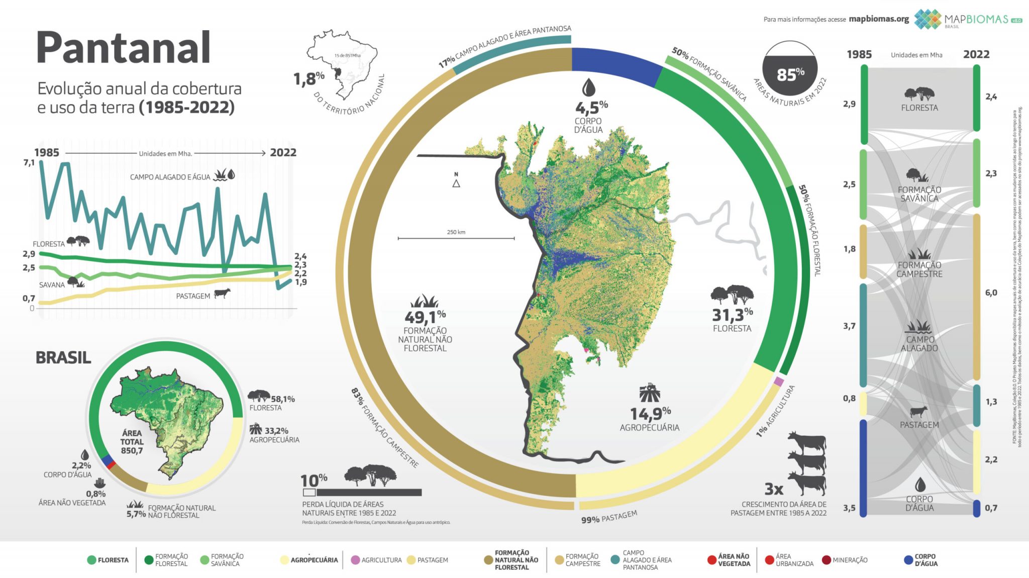 Vegetação Do Pantanal Suas Características E Importância Sos Pantanal